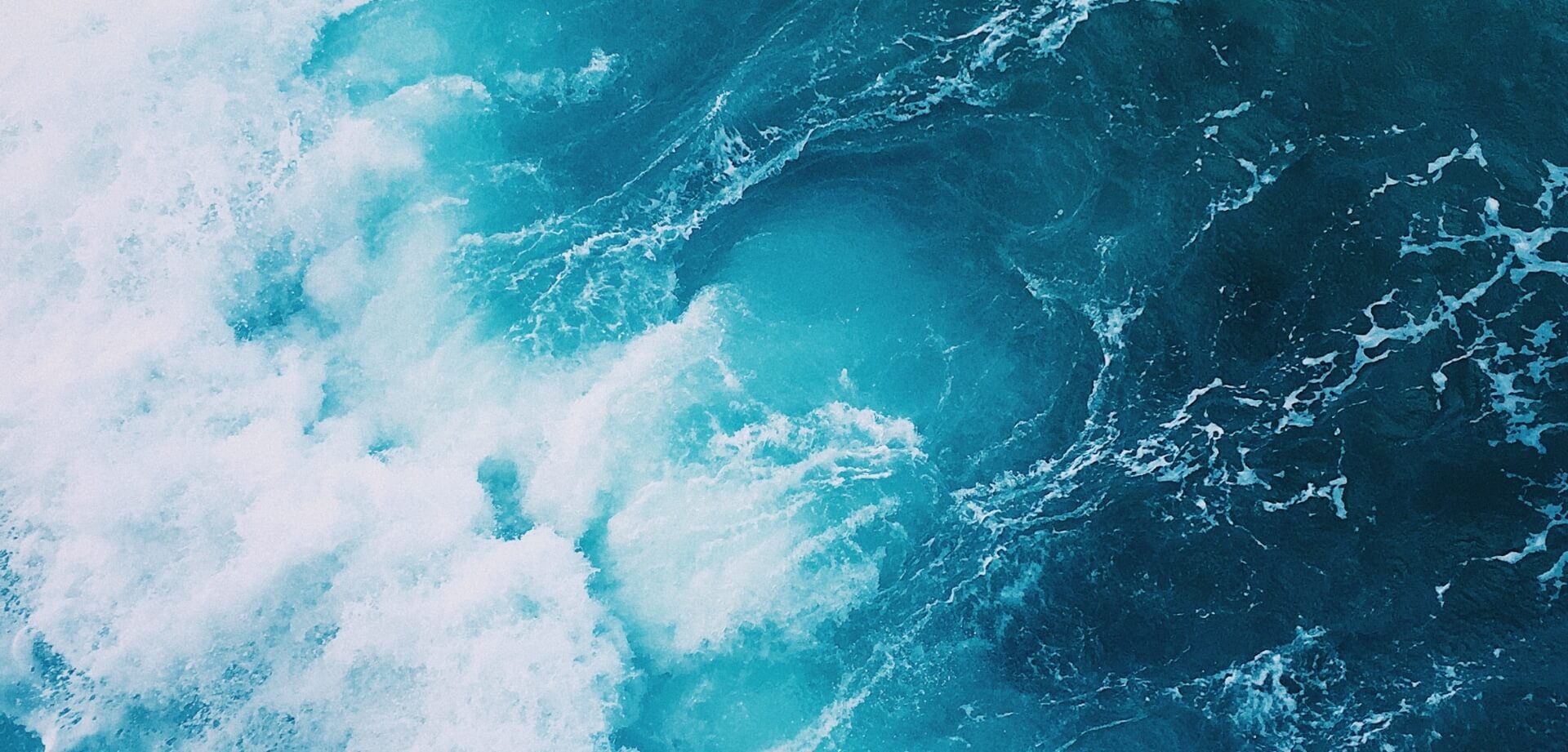 Ingredients and Inputs